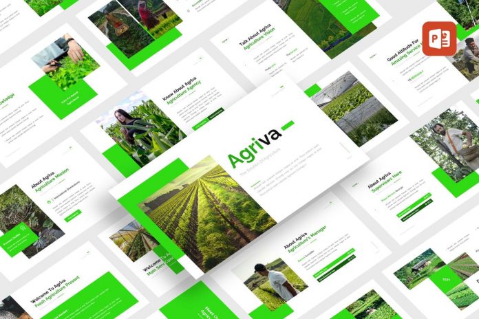 15+ Best Farm & Agriculture PowerPoint Presentation Templates - Grafiktor